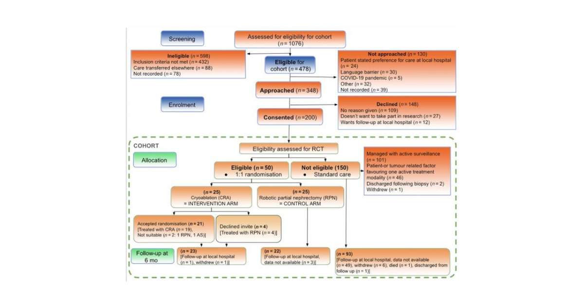 Nephron Sparing Treatment (NEST) for small renal masses: A feasibility ...